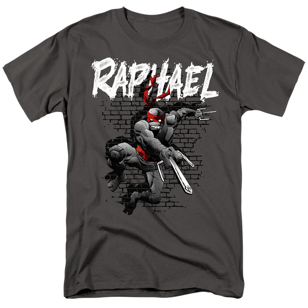 Teenage Mutant Ninja Turtles TMNT Raphael T-Shirt – Rocker Merch